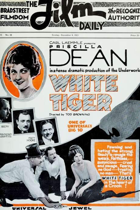 The White Tiger (2021) Full Movie Summary & Plot Explained