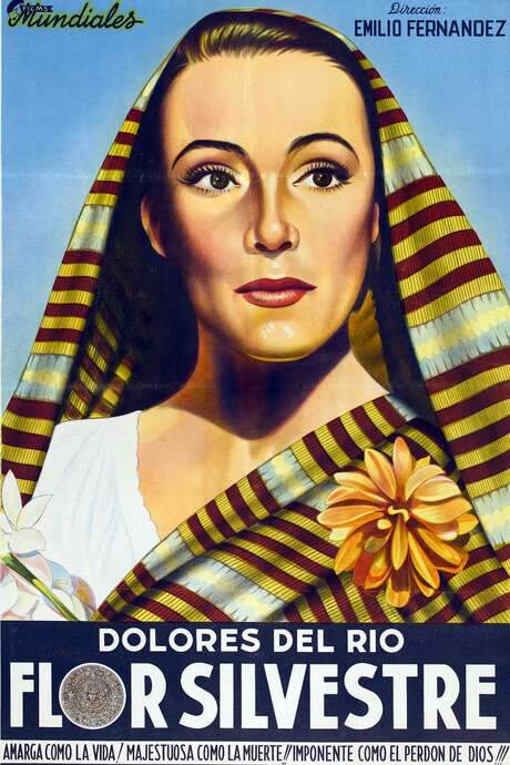 Wild Flower (1943) Timeline – Scene-by-Scene Guide