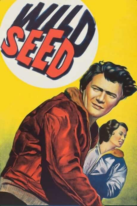 Wild Seed (1965) Full Movie Summary & Plot Explained