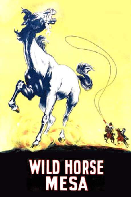Hidalgo (2004) Full Movie Summary & Plot Explained