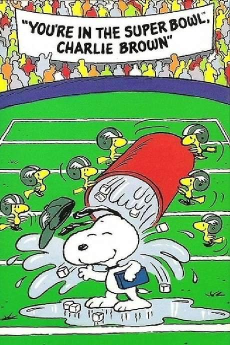 Why, Charlie Brown, Why? (1990) Full Movie Summary & Plot Explained