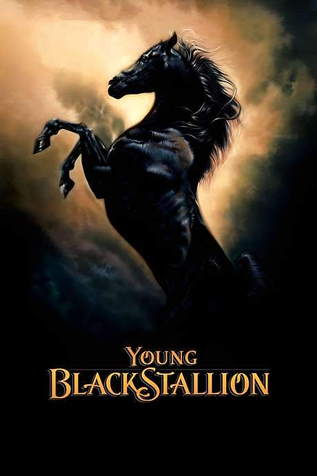 The Black Stallion (1979) Full Movie Summary & Plot Explained